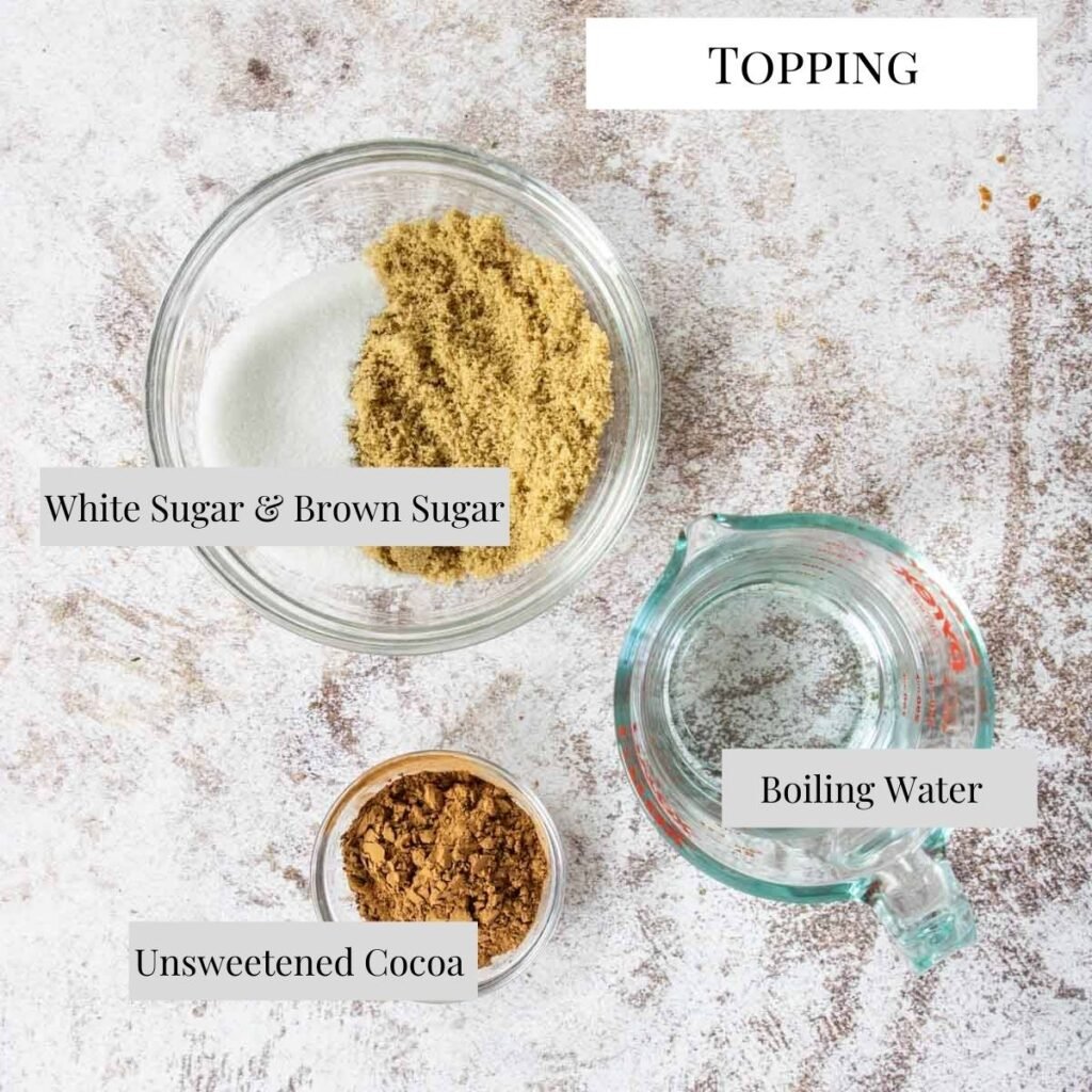 Easy Hot Fudge Chocolate Pudding Cake - Mom's Dinner