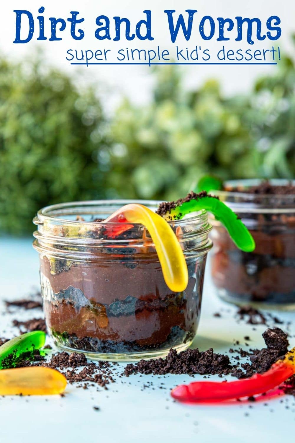 Dirt and Worms - Mom's Dinner