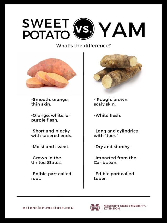 Easy Sweet Potato Casserole with Canned Yams - Mom's Dinner